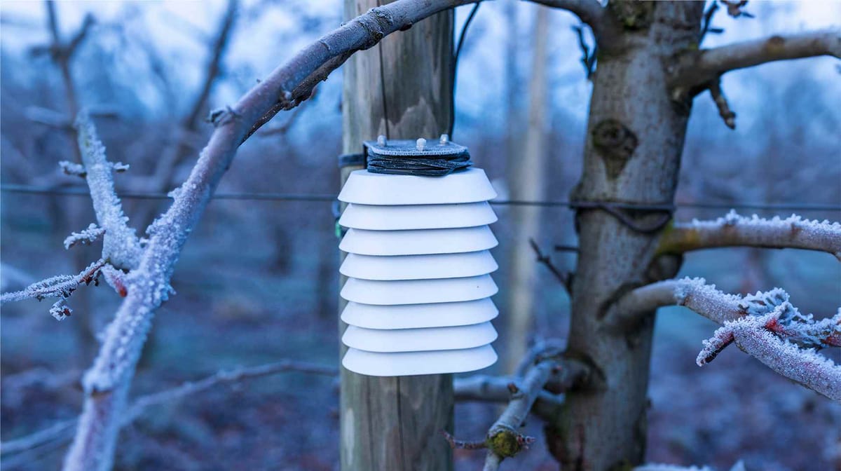 Thermocrop: the new frost protection solution